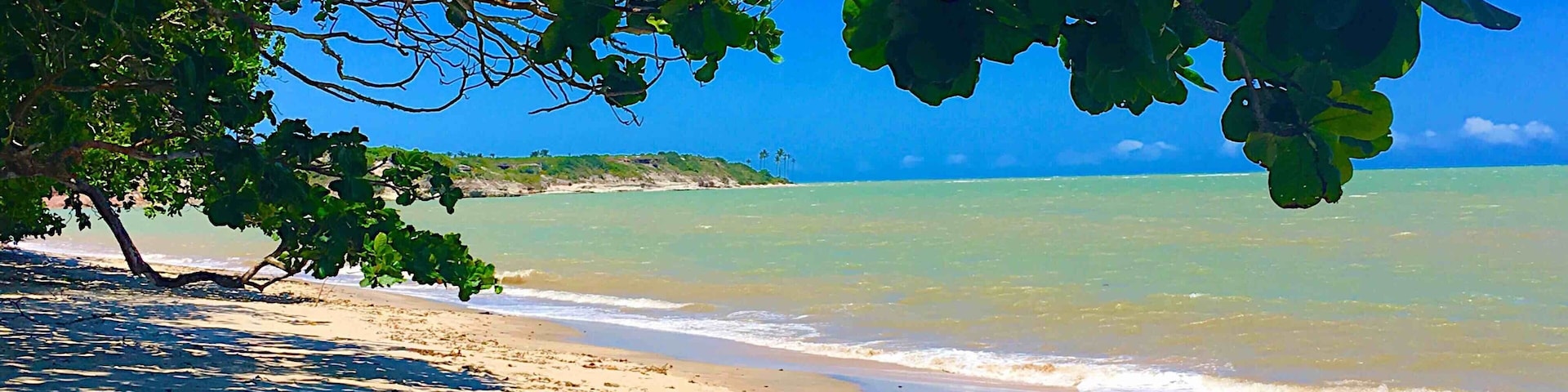 🇧🇷Bahia🇧🇷