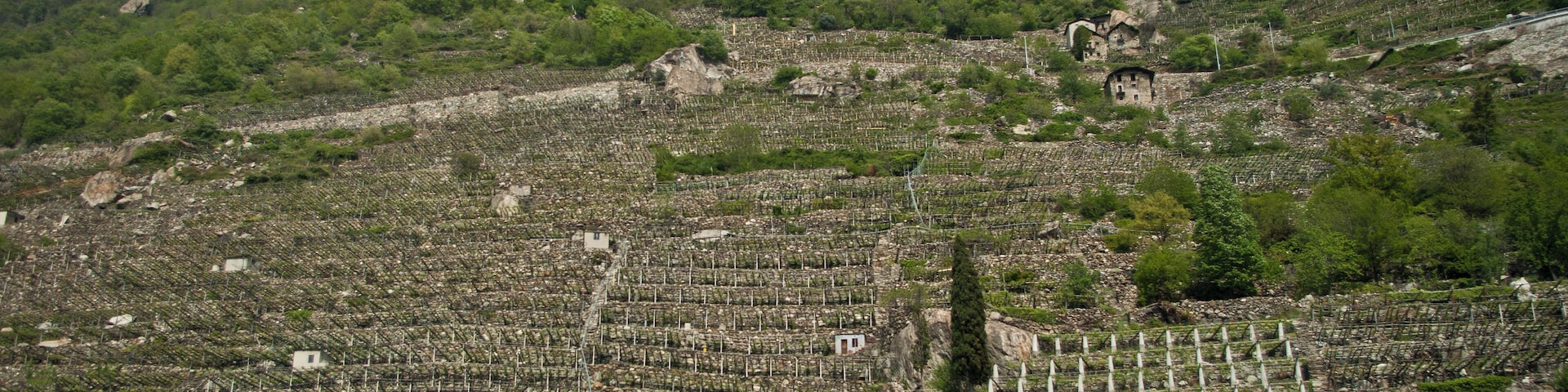 This is a photo of a monument which is part of cultural heritage of Italy. This monument participates in the contest Wiki Loves Monuments Italia 2014. See authorisations.