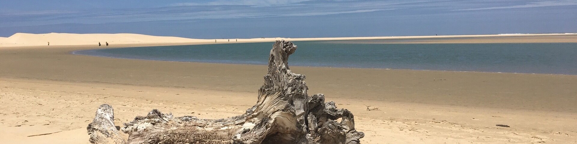 Its not hard to take good photos of driftwood - no matter the angle its intriguing and thought provoking