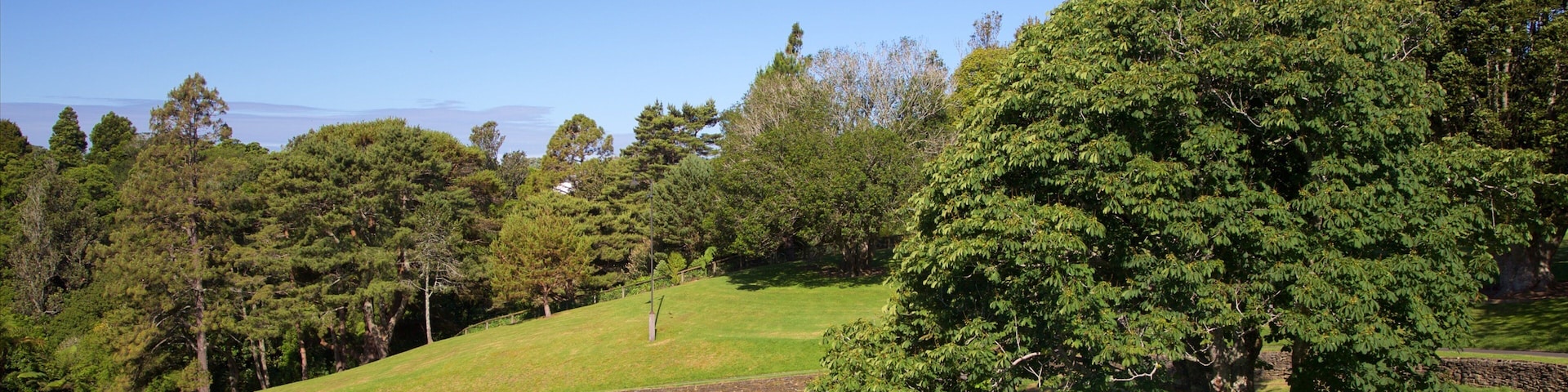 Bowl of Brooklands mostrando um jardim