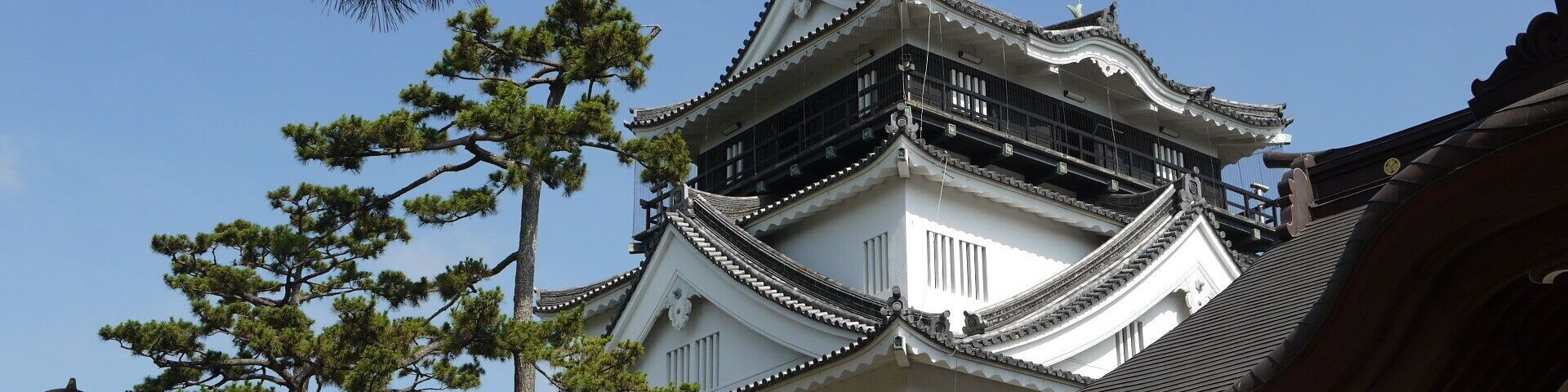 Okazaki Castle 岡崎城4