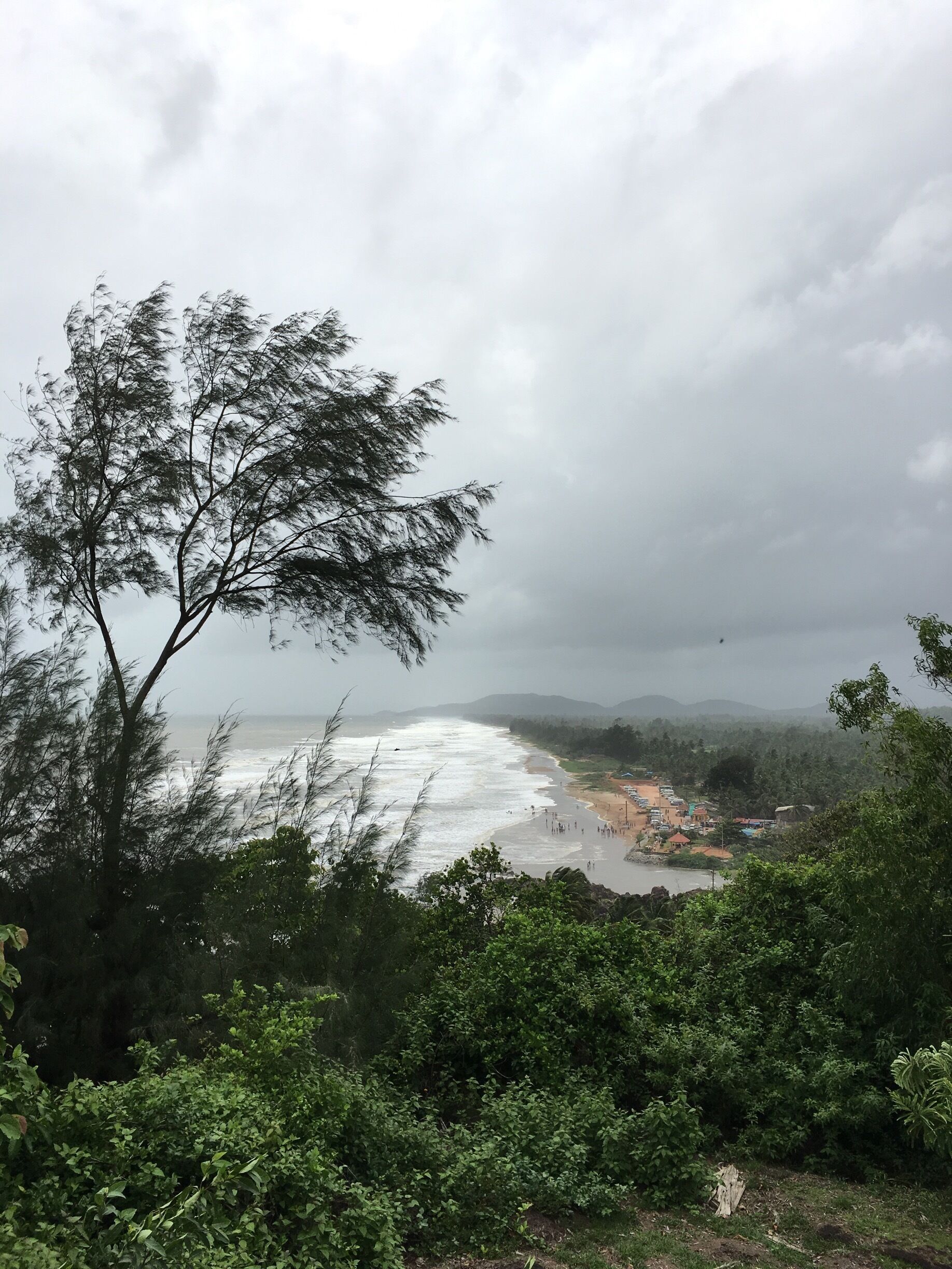 Paisagem costeira com praia, ondas do oceano e uma árvore em primeiro plano.