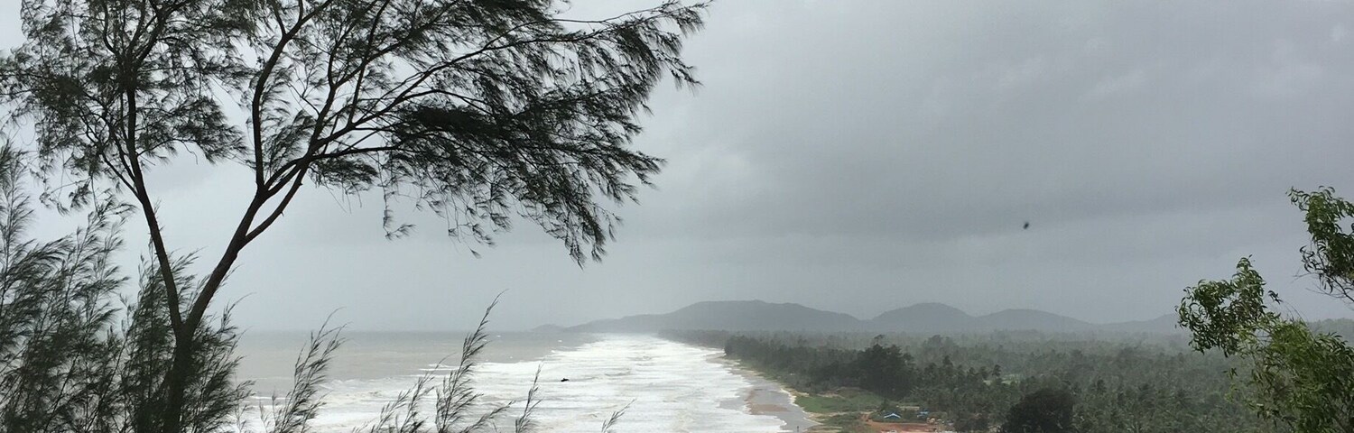 Paisagem costeira com praia, ondas do oceano e uma árvore em primeiro plano.