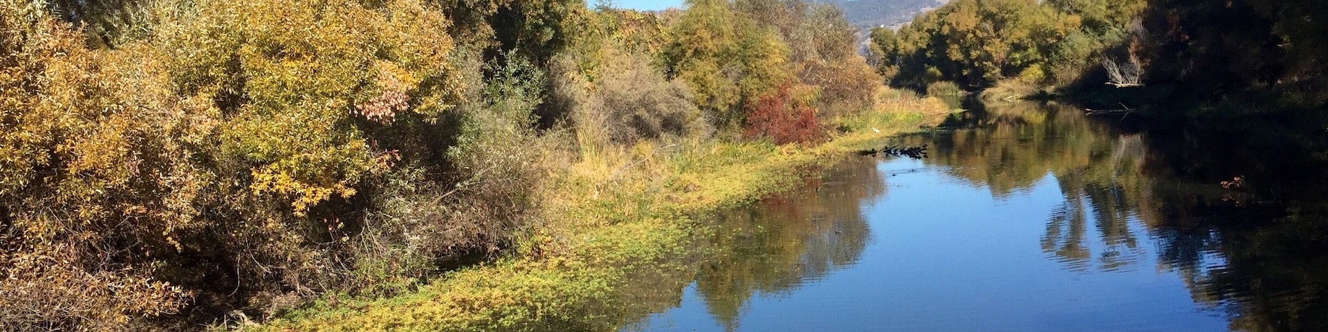 Day trip to Clear Lake, Ca. This tributary runs off into the lake. Wonderful spot to watch birds. #ClearLake #StateParks #Waterways #BirdWatching #Nature #Roadtrip #California