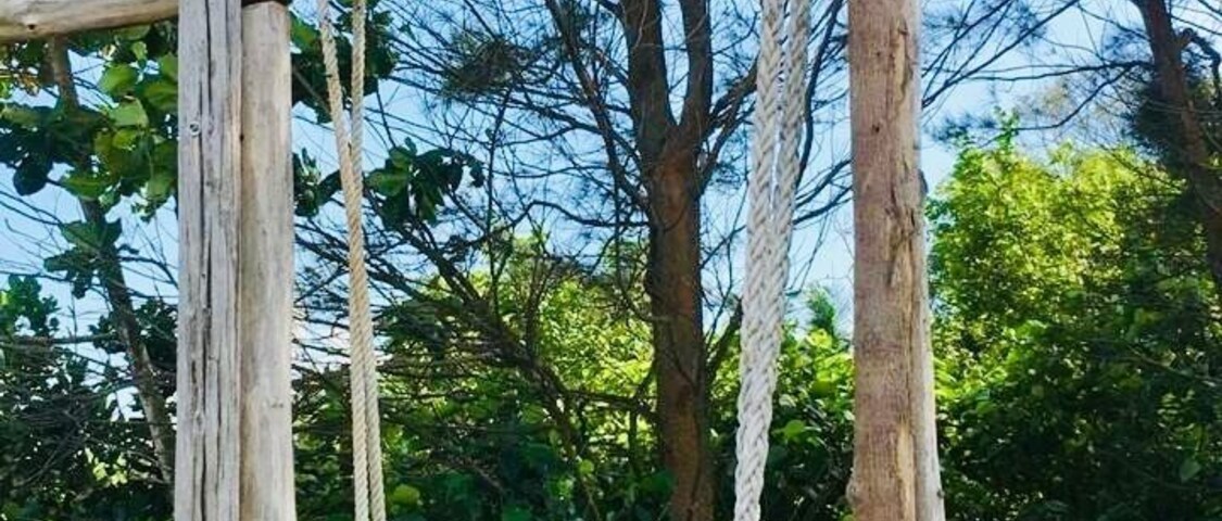 Um baloiço de madeira com cordas, uma placa indicando a distância até Nova Zelândia, e um cenário natural com árvores e arbustos.