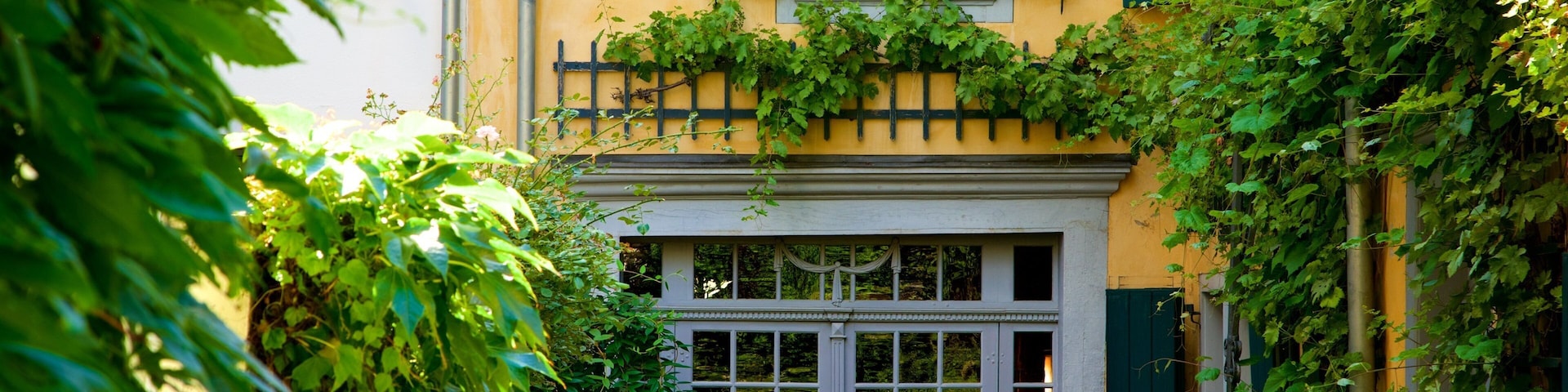 Um edifício amarelo com persianas verdes e uma porta branca.