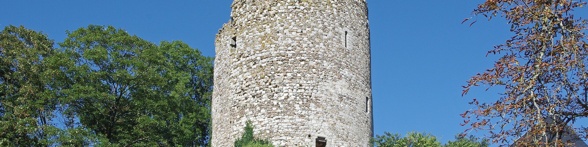 Château-Renault (Indre-et-Loire) Donjon de Château-Renault, XIIe siècle. Du Moyen-Age à la période classique, le site de Château-Renault passe aux mains de nombreux propriétaires : les comtes de Blois, la famille d’Orléans, les Dunois, les Longueville et la famille de Conti. Le domaine est érigé en marquisat au début du XVIIe siècle, sous la famille Rousselet*, dont le plus illustre représentant a été François-Louis Rousselet, vice-amiral de la marine royale et maréchal de France, et dont les armoiries ornent l’ancienne porte d’entrée du château. Au XVIIIe siècle le château devient la propriété du Comte Charles Henri d’Estaing* puis du comte Barrairon. Au XIXe siècle le site est la propriété de la famille Calmon*, qui en fait don en 1948 à la Ville de Château-Renault pour y établir l’hôtel de ville (1962). Selon la « Chronique de Tours », c’est Renaud, petit fils du premier seigneur des lieux -Guicher de Château-Gontier-, qui donna son nom à Château-Renault (castrum Reginaldi) au début du XIe siècle*. Vingt-quatre ans plus tard, le comte d’Anjou Geoffroy Martel*, victorieux à la bataille de Nouy* (août 1044), prend possession de Château-Renault et confie la place à Renaud II de Château-Gontier*. Entre 1064 et 1073, Guicher II, seigneur «héréditaire» récupère son château. Après 1151, au décès de Renaud IV, sa fille Sybille qui est aussi arrière petite fille de Guicher II, épouse Josselin d’Auneau. Mais, elle était promise au fils de Sulpice II d’Amboise. Sulpice décide de se venger et pille et incendie la place. En seconde noce, Sybille épouse Thibaut V le Bon (comte de Champagne, de Blois et de Chartres) et fait ainsi entrer Château-Renault dans la maison de Blois. Vers le milieu du XIIe siècle (entre 1151 et 1163), Thibaut V fait bâtir le donjon que nous connaissons aujourd’hui. En 1226, par son mariage avec Hugues de Châtillon, Marie, fille de Marguerite (comtesse de Blois et de Châteaudun), fait entrer Château-Renault dans cette famille. Hugues de Châtillon devient ainsi seigneur de Château-Renault. Les Châtillons vont conserver la place jusqu’à la fin du XIVe siècle en y effectuant quelques modernisations. Le châtelet d’entrée (fin XIVe siècle) est le principal vestige de ces travaux. La seigneurie est vendue à Louis de France, frère du roi Chrles VI, en octobre 1391. Vers 1425, la place forte, est occupée par les Anglais qui y disposent d’une forte garnison. Â la fin du conflit franco-anglais (mars 1449), Jean d’Orléans, comte de Dunois et compagnon d’armes de Jeanne d’Arc, en fait l’acquisition. Durant les guerres de Religion (1589), le château, aux mains des protestants, mais presque entièrement démantelé, est mis en défense par son capitaine dénommé Sahuet, qui creuse un profond fossé. Cette simple défense fera rebrousser chemin au duc de Mayenne qui préférera marcher sur Tours. Les de Gondy, de Rousselet, d’Estaing, Calmon seront les familles propriétaires de Château-Renault du XVIe au XXe siècle (barons à partir de 1525 puis marquis à partir de 1620). (Voir Marcel Deyres : Le donjon de Château-Renault page 56 à 61 - Archéologia n° 62 - sept 1973) La famille Rousselet devient propriétaire du château et de la seigneurie de Château-Renault en 1618, et érige le domaine en marquisat en 1620. L’un de ses représentants les plus célèbres, François-Louis Rousselet, a exercé son activité militaire au sein de la marine royale française de Louis XIV, en 1661 comme enseigne de vaisseau, puis capitaine, chef d’escadre, lieutenant général des armées navales, et enfin vice-amiral du Levant. Par son mariage en 1746 avec Marie-Sophie de Rousselet, Charles-Henri d’Estaing prend le titre de marquis de Château-Renault. Il exerce une carrière dans l’armée en qualité de mousquetaire. En 1759, il demande à servir sur mer, et commence sa carrière de marin avec une expédition dans le golfe persique. Il est promu lieutenant général des armées navales et participe à des revues d’inspections dans les colonies françaises aux Antilles, puis commande la marine du port de Brest en qualité de Gouverneur. Le roi Louis XVI le fait vice-amiral en 1777, avant de le désigner en 1778 pour partir combattre l’armée anglaise durant la guerre d’indépendance américaine. Il devient Gouverneur de Touraine en 1785 puis est nommé général commandeur de la garde nationale de Versailles. Il obtient la nomination d’amiral, avant d’être cité comme témoin au procès de Marie-Antoinette, puis accusé de conspiration et condamné à mort en 1794. Originaire du Lot, la famille Calmon devient propriétaire du domaine et du château de Château-Renault au début du XIXe siècle. Ses représentants sont issus de la haute administration. D'après la chronique de Tours , Renault , petit fils de Guicher Ier., qui mourut vers l'an 1020 , donna son nom à la place qui n'était connue que sous le nom de Château ; mais la grosse tour cylindrique ou donjon dont on voit encore les ruines , au haut du coteau qui domine la vallée voisine , ne date que du XIIe. siècle , car l'histoire nous apprend que Sulpice d'Amboise mit le siège devant Château-Renault , l'emporta d'assaut et brûla tout , hormis l'église, vers le milieu du XIIe. siècle. Cette tour cylindrique est placée isolément sur une éminence conique ou motte dont les talus ont été consolidés par des murs construits avec soin. Elle était divisée en plusieurs étages ayant des cheminées. Les murs sont revêtus extérieurement en pierres bien cimentées , de moyen appareil ; on remarque , vers la partie supérieure , un rétrécissement très-sensible résultant du talus considérable ménagé dans l'élévation de l'édifice. On avait même, je crois, placé à l'intérieur quelques assises en surplomb dans la partie supérieure des murs , afin de diminuer le diamètre du toit ou peut-être de former une voûte. Le donjon de Château-Renault a été démantelé , l'ancienne (illisible) détruite ; on entre aujourd'hui par une large brèche (illisible) à peu près au tiers du cercle de la tour. L'enceinte du bayle a été défigurée en partie. Elle était assez vaste; la porte d'entrée qui existe encore n'est pas sans intérêt, mais je ne la crois pas du XIIe. siècle. (Histoire sommaire de l'architecture au Moyen-Âge par M. de Caumont - 1836) Geoffroy II Martel, fils de Foulques III Nerra et de Hildegarde, est né à Loches en 1005. Voulant prendre la tutelle de l'Anjou par anticipation, il entrera en guerre contre son père, Foulques Nerra, qui sera vainqueur. Geoffroy Martel devra attendre la mort de son père pour prendre possession d'une vaste région couverte de forteresses. Geoffroy Martel a été excommunié pour les désordres de sa vie privée mais surtout pour le soutien qu'il apportait à Béranger de Tours alors que celui-ci était en conflit avec la Papauté. Geoffroy poursuit la même politique que son père vis a vis des comtes de Blois : enlever Tours aux comtes de Blois et les chasser de Touraine La Bataille de Nouy (1044) s'inscrit dans la longue lutte entre les comtes de Blois et d'Anjou. En 1044, Thibault III, comte de Blois est fait prisonnier par le fils de Foulques Nerra, Geoffroy Martel, qui remporte une victoire à Nouy (près de Saint-Martin-le-Beau). Pour retrouver la liberté, Thibault doit abandonner définitivement la Touraine aux Comtes d'Anjou. Renaud II est cité, comme son frère, dans la charte de Saumur. L'un et l'autre s'attachèrent aux comtes d'Anjou. Geoffroy Martel, comte d'Anjou, après la conquête de la Touraine, dépouilla plusieurs de ses principaux vassaux de cette contrée. En particulier il dépouilla Guicher, possesseur d'un château et d'un domaine qu'il confisqua et céda à Renaud en 1044. Renauld II imposa son nom au domaine et au château : "Castrum quod ejusdem nomine vocatur Castrum Renaldi". Il le garda jusqu'en 1066, époque où Guicher rentra en possession de son bien. En cette même année 1066, Renaud II laissa Château-Renaud pour se fixer définitivement à Château-Gontier. Pas pour longtemps. Le mercredi Saint 4 avril 1067, Renaud II de Chateau-Gontier, Geoffroy de Preuilly, Robert le Bourguignon, et Girard de Montreuil-Bellay, pénètrent dans Angers. Ils s'emparent de Geoffroy le Barbu (neveu de Geoffroy Martel et frère de Foulques le Réchin. Les deux frères se disputent les possessions de leur oncle) pour le compte de Foulques le Réchin. Le lendemain, le jeudi Saint 5 avril, une terrible émeute de la population d'Angers, souleva la ville. Foulque Réchin ne put, ou ne voulut protéger ses affidés de la colère populaire, et Renaud II de Chateau-Gontier, Geoffroy de Preuilly, Robert le Bourguignon, et Girard de Montreuil-Bellay furent massacrés. Voir : www.richesheures.net/epoque-6-15/chateau/37chat-renault-h... www.ville-chateau-renault.fr/Les-personnages-celebres.html