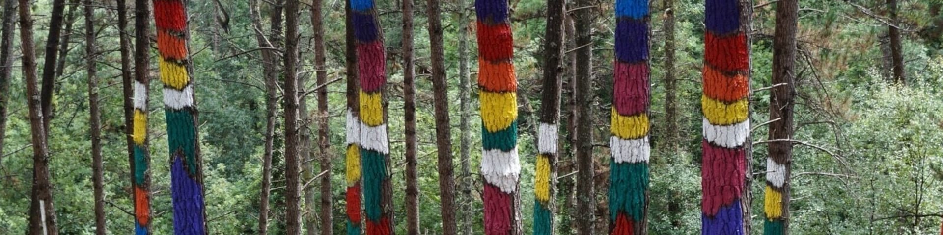 Wonderful painted forest, near Bilbao.