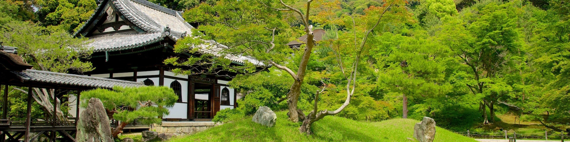 Kodaiji Temple which includes landscape views, a temple or place of worship and religious elements