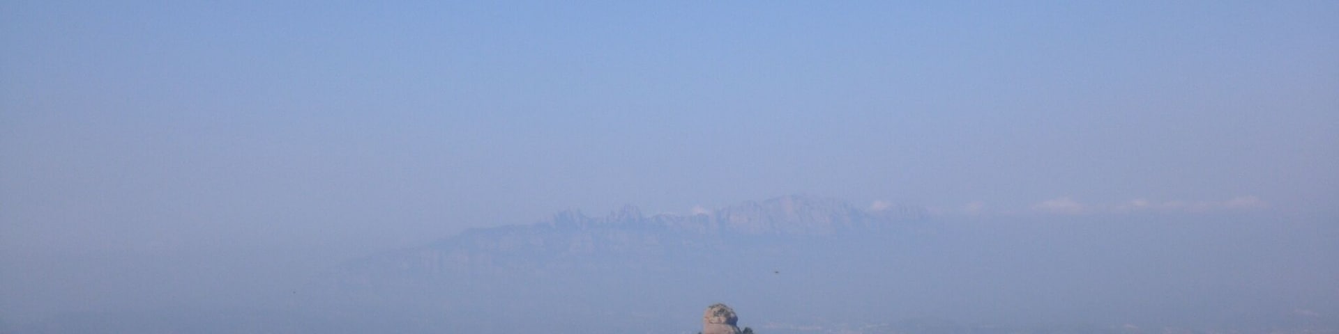 Paller de tot l'Any (agost 2010)