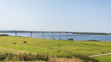 Uma ponte extensa sobre um rio com margens gramadas.