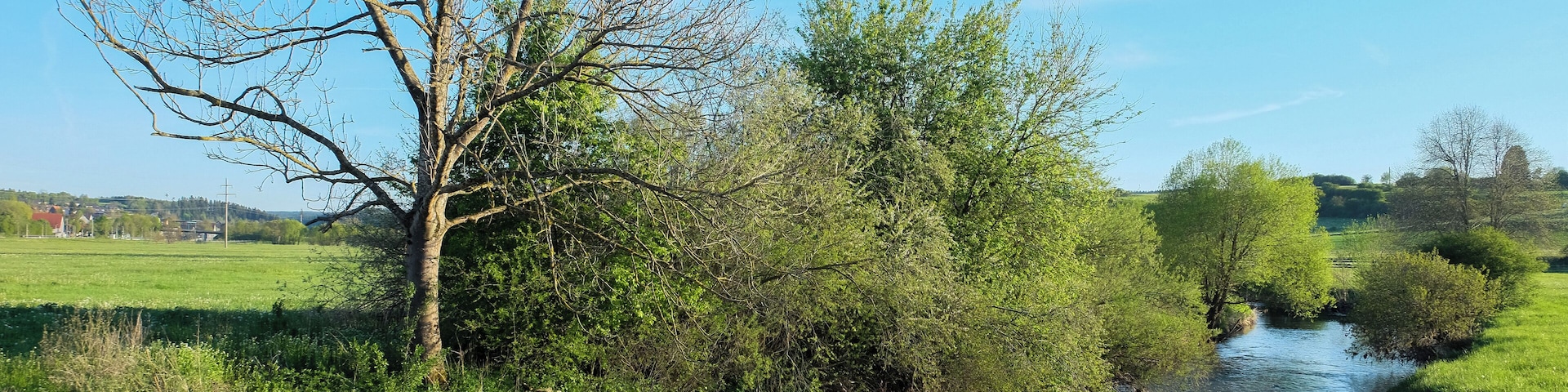 River Brigach near Brigachtal-Kirchdorf, district Schwarzwald-Baar-Kreis, Baden-Württemberg, Germany