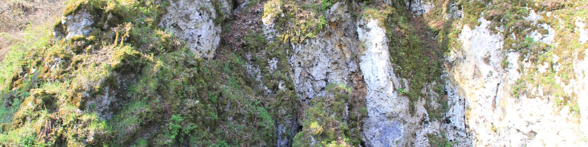 Der Ursprung der Brenz in Königsbronn
