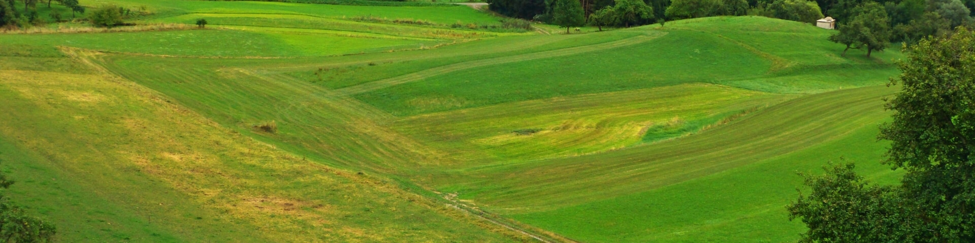 Valley