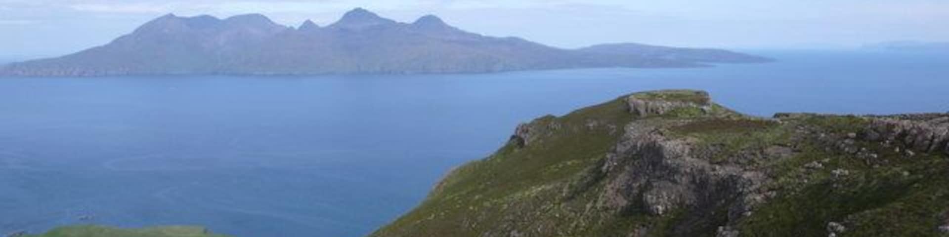 Beinn Bhuidhe escarpment A fantastic variety of wild flowers on this hill