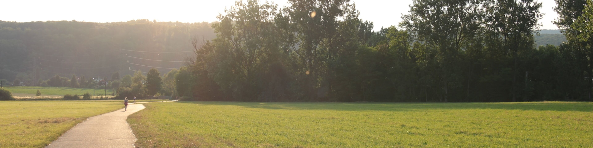 (NSG:BW-2.210)_Mauermer und Bammentaler Elsenztal