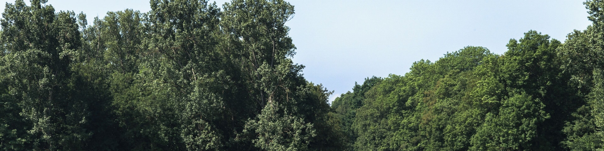 Naturschutzgebiet „Steiner Wald von Nordheim“ (NSG 1431013) in Biblis: Man sieht auch den Hessischer Radfernweg R6 und das Hinweisschild "Naturschutzgebiet".