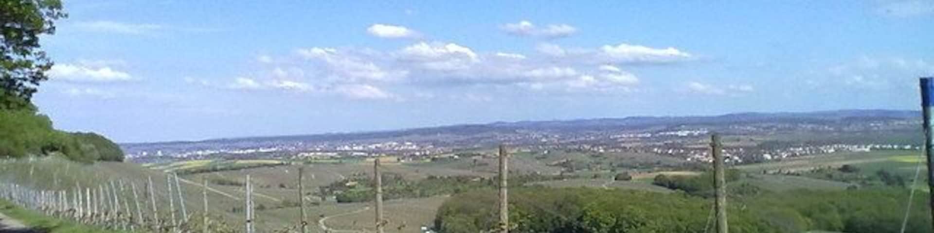 Blick vom Heuchelberg