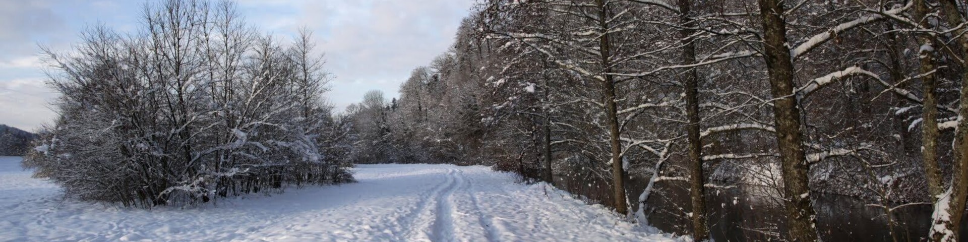 Maulburg-Wiese