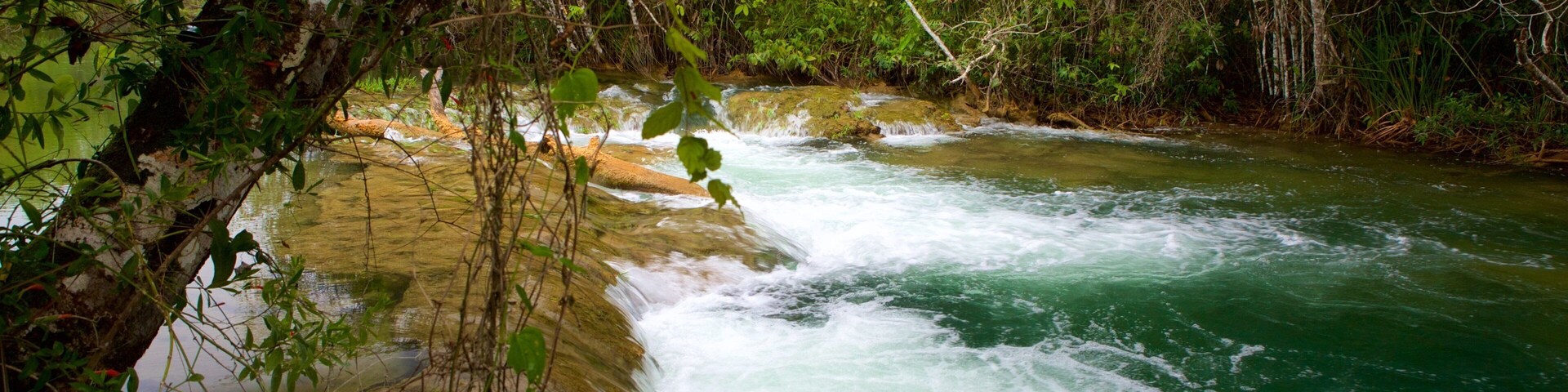 Parque Ecológico Rio Formoso que inclui mangues, floresta tropical e córrego