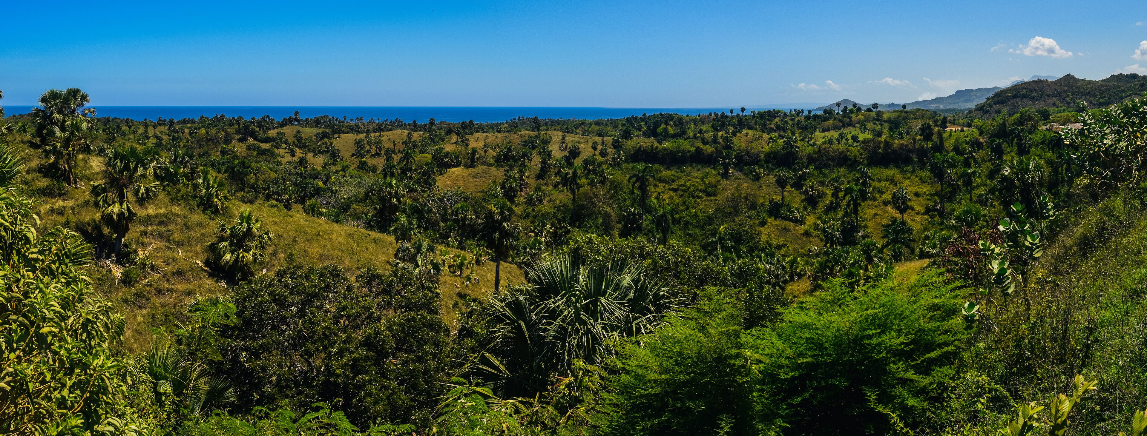 Paisagem verdejante com vista para o oceano e colinas ao longe.