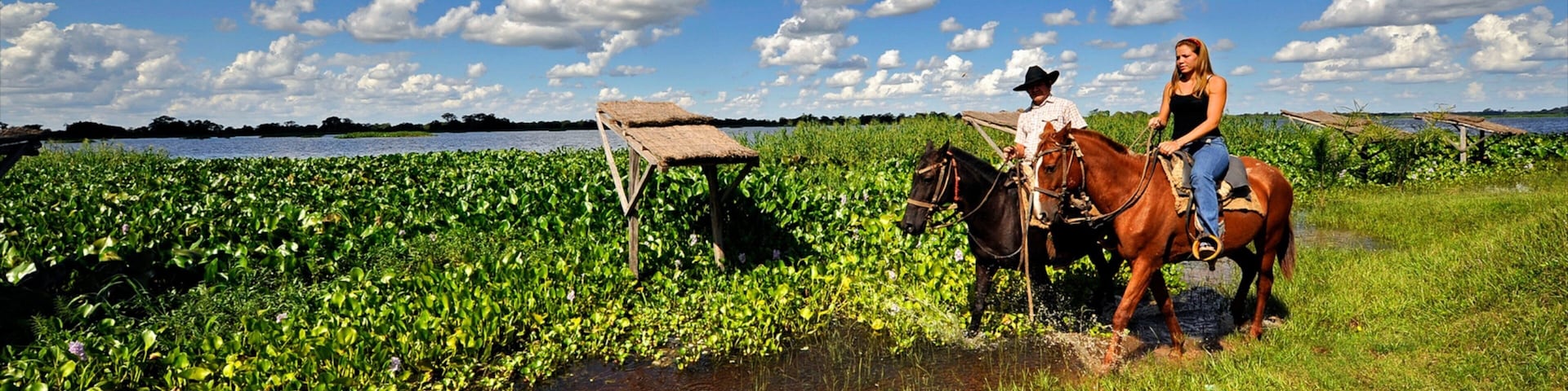 Formosa mostrando fazenda, cavalgada e animais terrestres