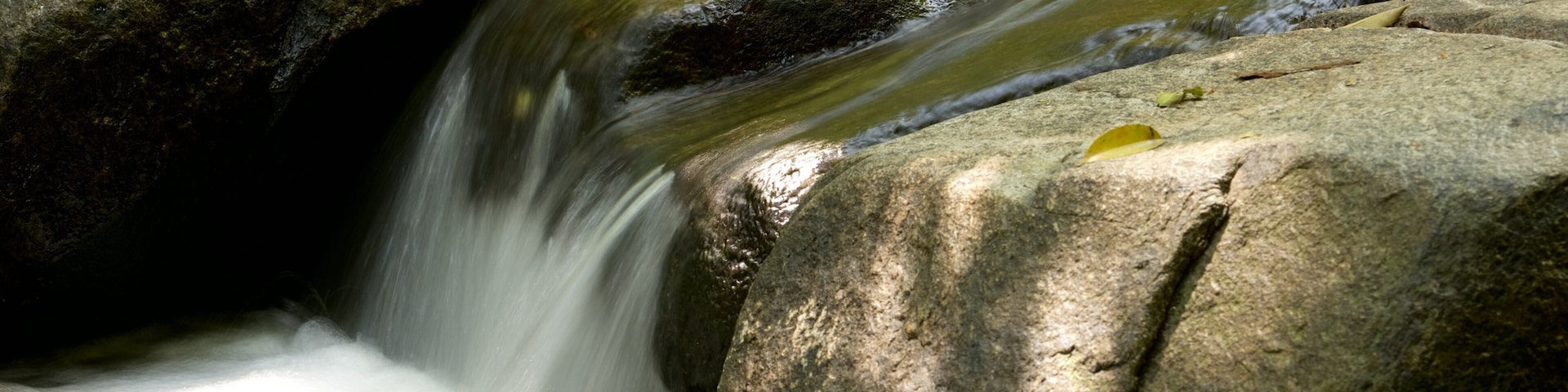 Bang Pae Waterfall featuring a river or creek