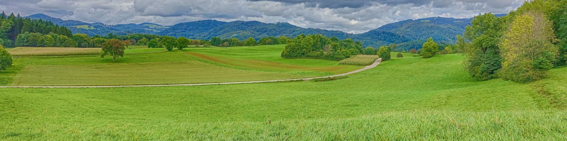 Landschaftsschutzgebiet mit weitläufigen, durch den Wechsel von Feldhecken, Feldgehölzen und eingestreuten Äckern reich strukturierten Kulturlandschaft, der Hochflächen aus zumeist mageren Weiden und Wiesen, insbesondere Trockenrasen, Glatthaferwiesen sowie Streuobstwiesen und artenreiche Tier- und Pflanzenwelt.