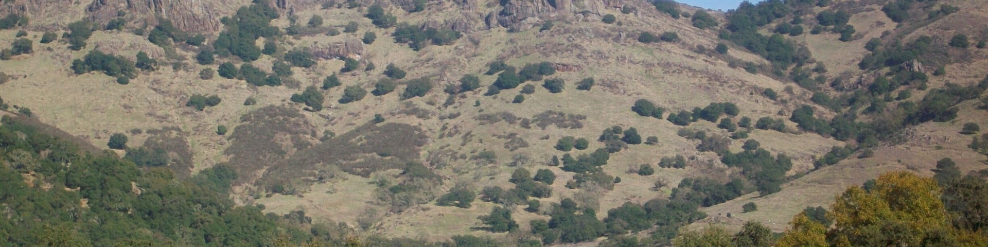 Beautiful landscape and great wine.  You can't go wrong visiting this winery.