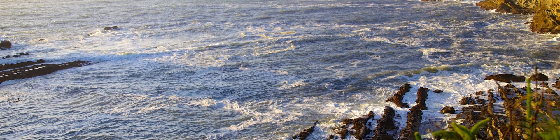 Cape Arago State Park mostrando litoral acidentado