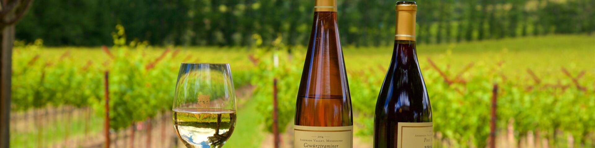 Duas garrafas de vinho e um copo sobre uma mesa de madeira, com um vinhedo ao fundo.
