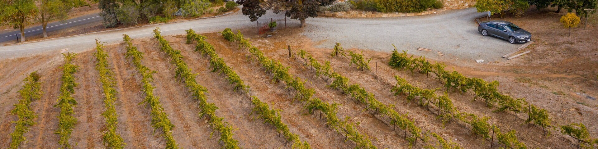 Crabtree Watervale Wines showing farmland