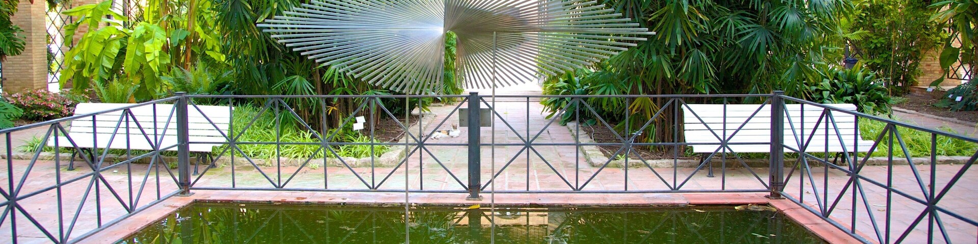 Valencia Botanical Gardens featuring a park and a pond