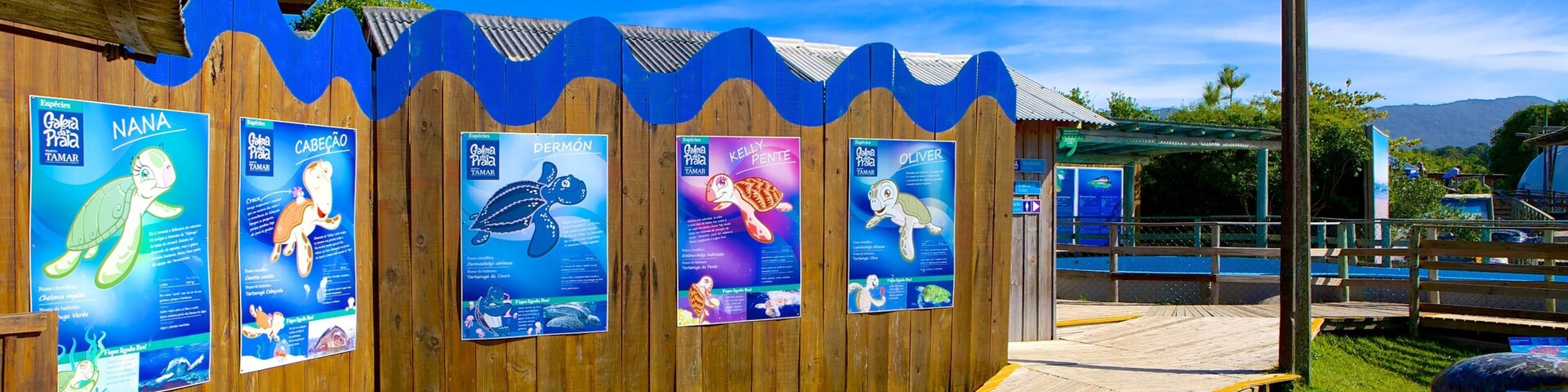 Tamar Project showing zoo animals