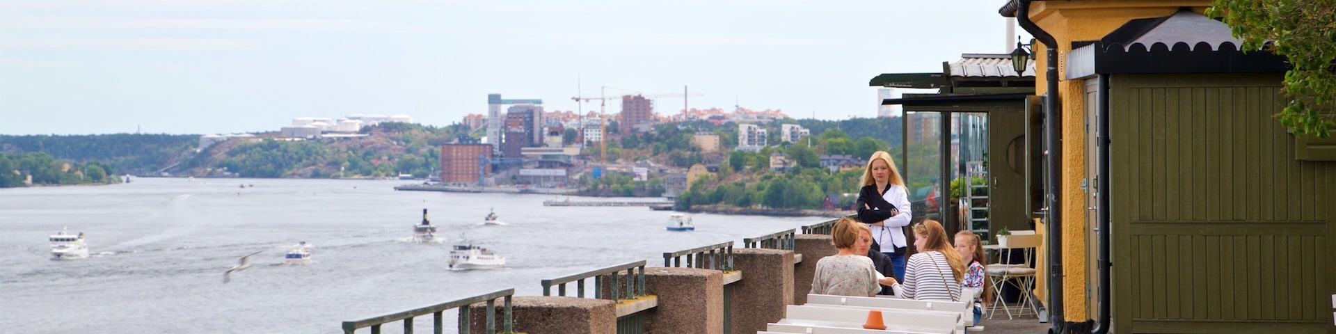 Fjallgatan Scenic Lookout showing outdoor eating and a bay or harbor as well as a small group of people