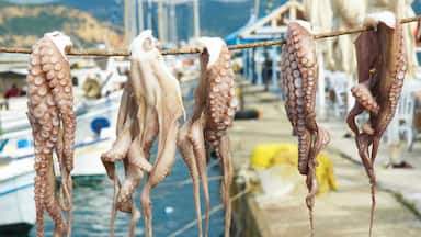 Tentáculos de polvo pendurados numa corda em um porto com barcos e montanhas ao fundo.