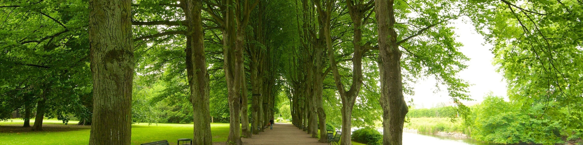 Castle Park showing a garden and a river or creek
