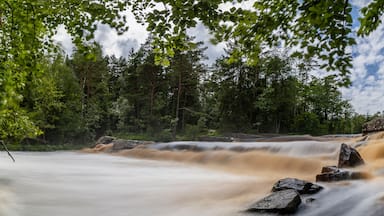 Uma cascata em meio a floresta densa e terreno rochoso.