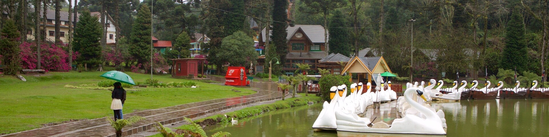 Black Lake Park featuring a garden and a pond