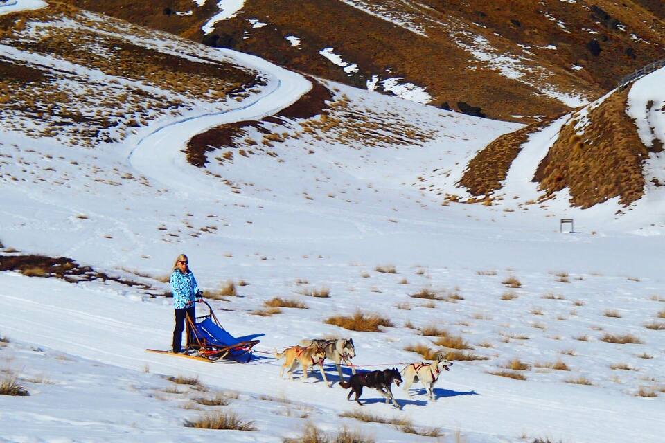 Paisagem nevada com uma pessoa em um trenó puxado por cães.