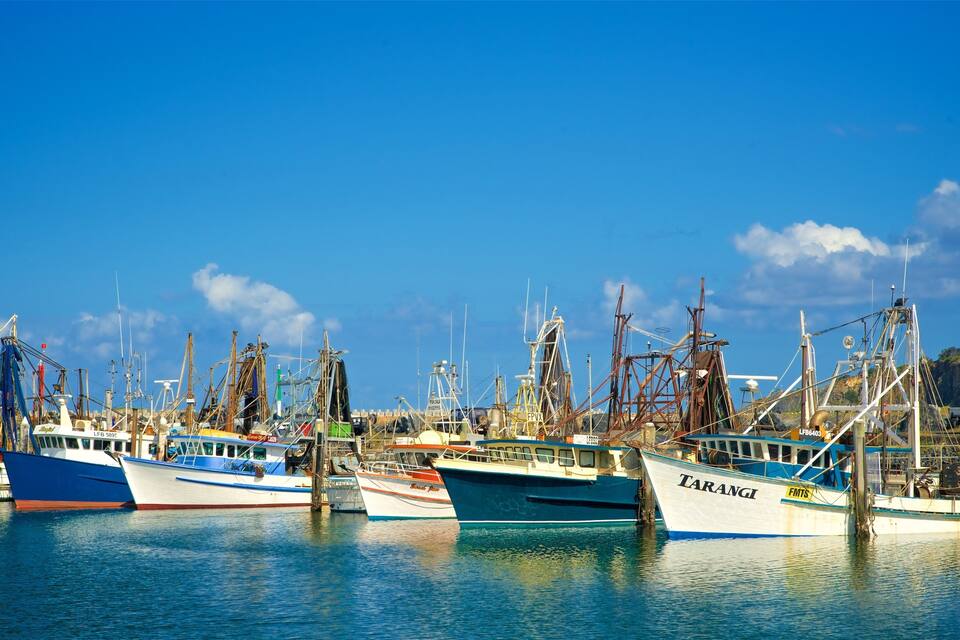 Um porto com vários barcos de pesca atracados, incluindo um barco chamado 'TARANGI'.