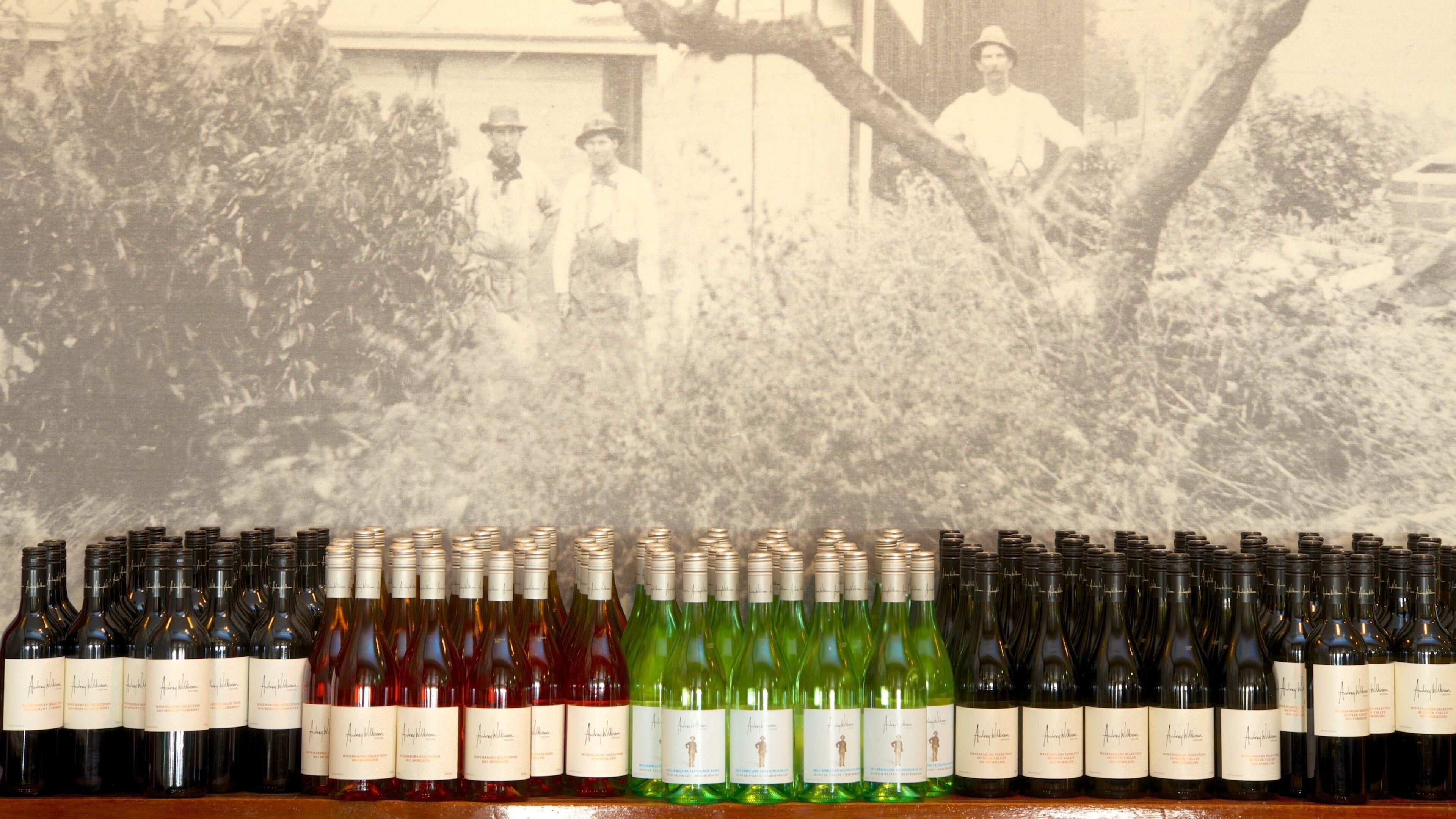 Audrey Wilkinson Vineyard showing interior views and drinks or beverages