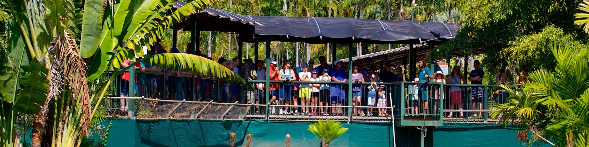 Crocodylus Park mostrando paisagens assim como um grande grupo de pessoas