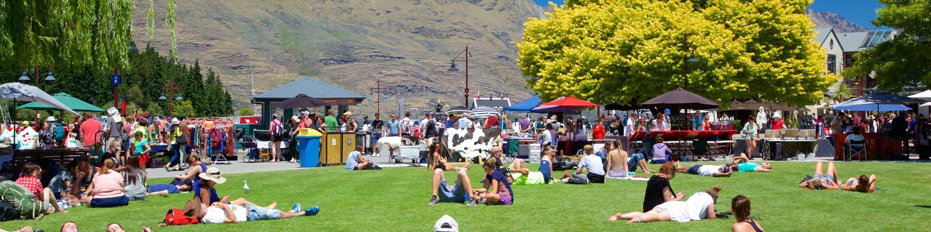 Otago which includes a garden, mountains and markets