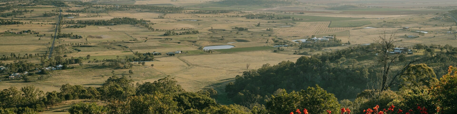 Preston featuring landscape views, wildflowers and tranquil scenes