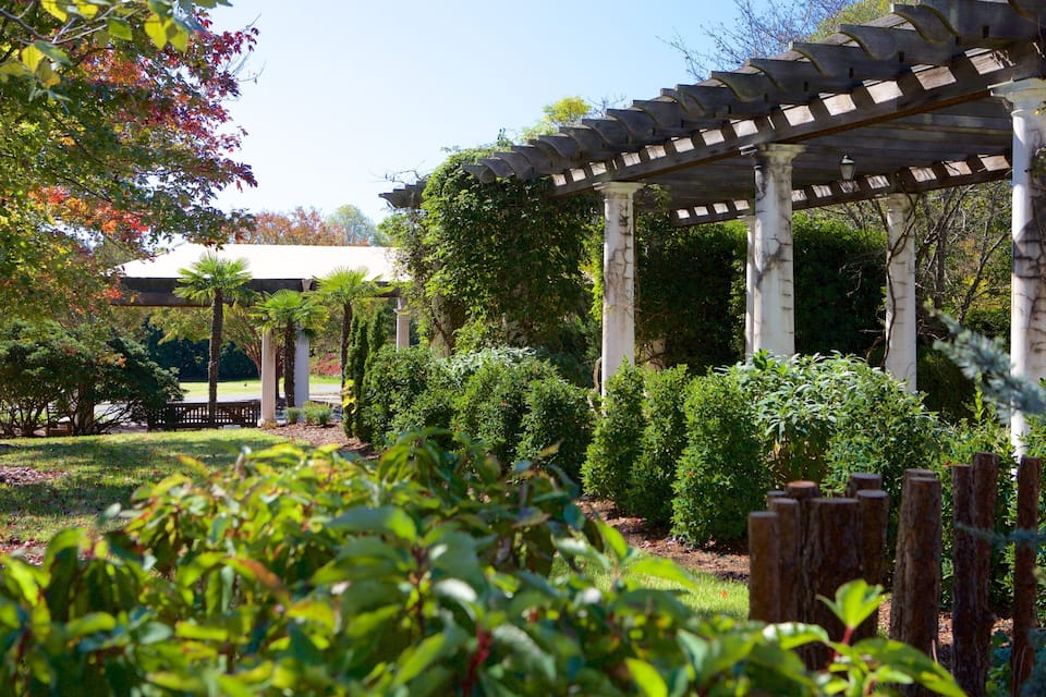 Um jardim com pérgola de madeira, árvores e arbustos bem cuidados.