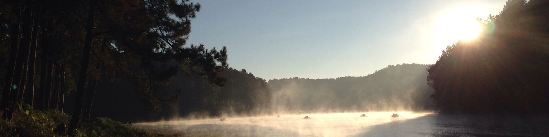Floating fog