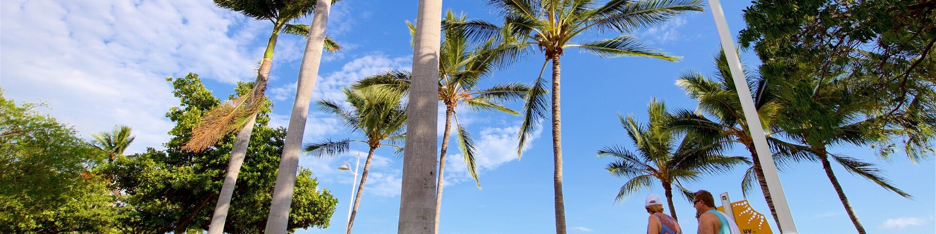 The Strand showing tropical scenes and a garden as well as a small group of people