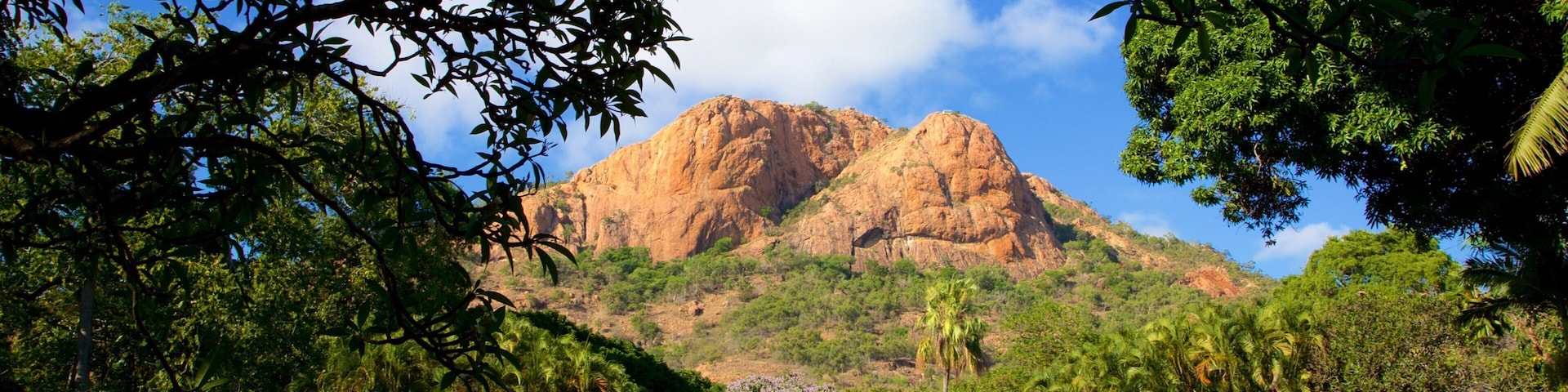 Townsville caracterizando um jardim e montanhas