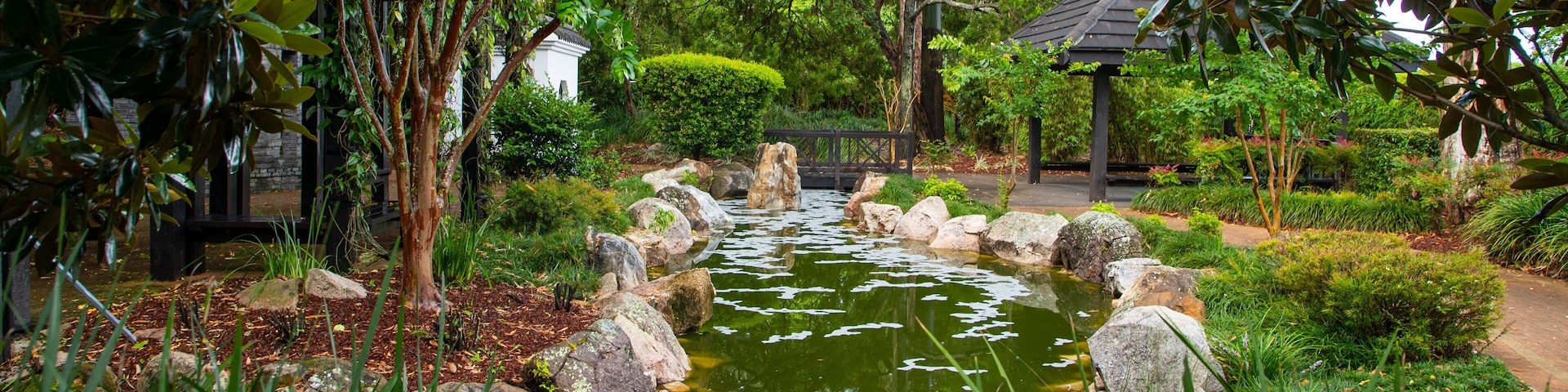 Hervey Bay Botanic Garden which includes a pond and a park